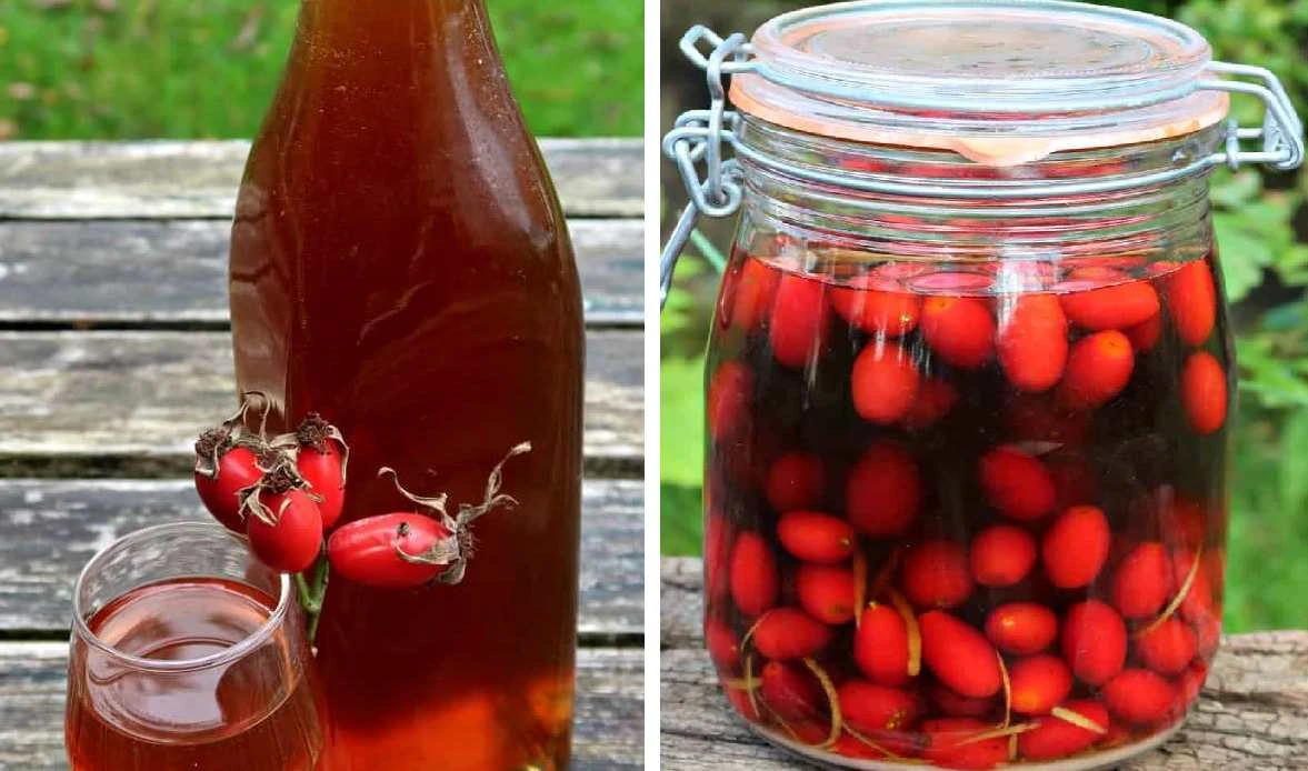 Hagebuttenlikör mit Honig: Elixier der Gesundheit und Kraft für die ...